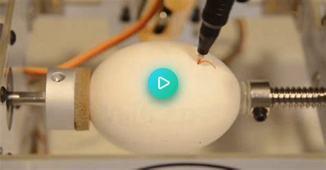 Egg Bot Decorating Eggs Album On Imgur