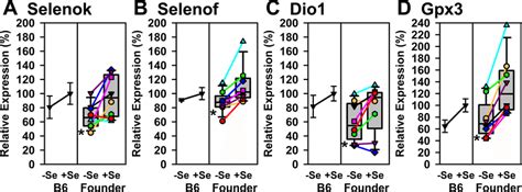 Relative Expression Of Liver Selenoprotein Transcripts Significantly