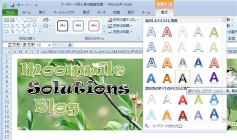 加工した画像を Excel でさっくりと作る Moonmile Solutions Blog