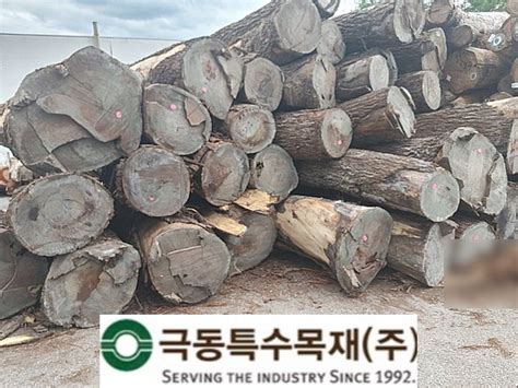 북미산 월넛 원목 입고 입고현황 극동특수목재 주