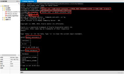 Docker安装详细步骤及相关环境安装配置（mysql、jdk、redis、自己的私有仓库gitlab 、c和c环境以及nginx服务代理） 阿里云开发者社区