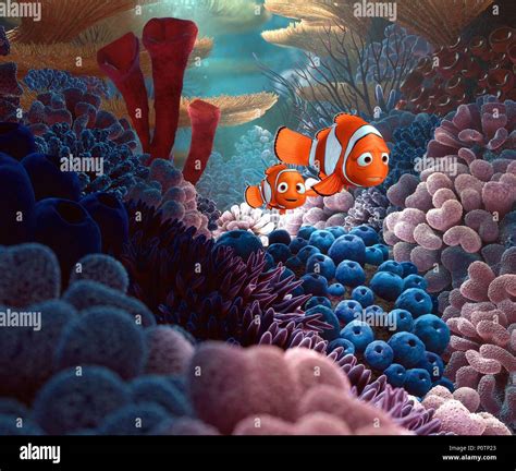 Original Film Title Finding Nemo English Title Finding Nemo Film Director Andrew Stanton
