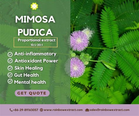 Botanicalextract Wellnesstechnology Sustainablehealth Herbalextract