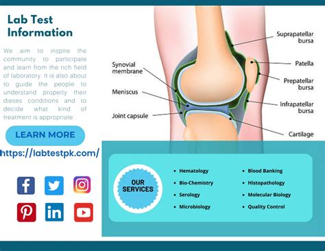 Synovial Fluid Analysis