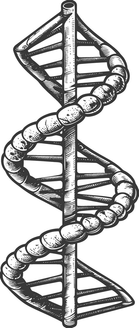Best 12 Gene Dna Mutation Symbol With Engraving Style Black Color Only Best 12 Gene Dna Mutation Symbol With Engraving Style Black Color Only
