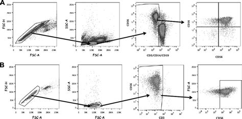 Gating Strategy For Selection Of Nk Cells A Gating Strategy For Nk Download Scientific
