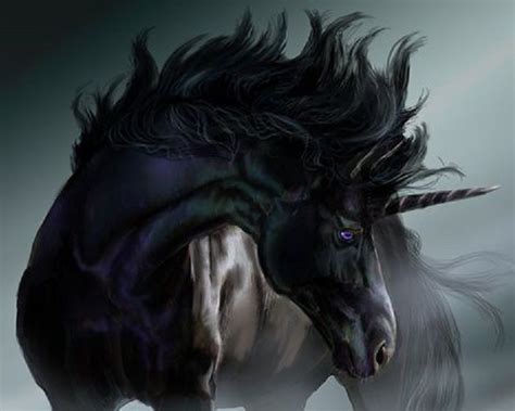 Black Unicorn Disegno Unicorno Angeli E Demoni Unicorno