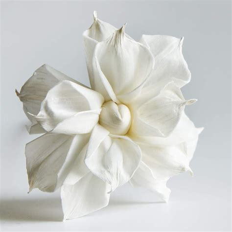 Gardenia Diffuser Flower Dahl Farmhouse