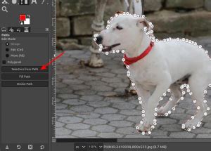 How To Make A Transparent Background In GIMP Step By Step Guide