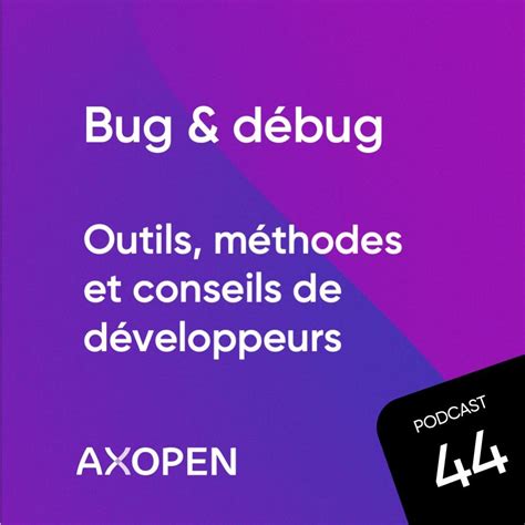 Bug Débug Débuggueur Endpoint Test Unitaire Etc Le Lexique Du Bug