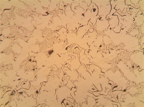 Masking Flakes · Issue 680 · Matterport Mask Rcnn · Github