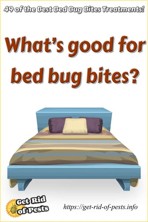 How To Make Bed Bug Swelling Go Down At Indiana Houlding Blog