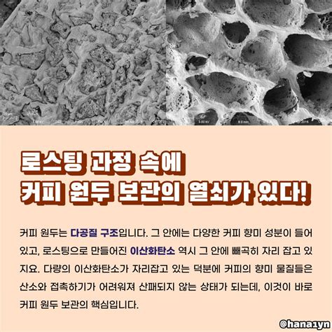 커잘알 프로젝트 5 커피 원두의 보관과 소비기한 인스티즈instiz 인티포털 카테고리