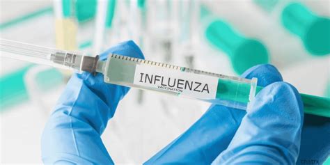 Influenza A B C And D Whats The Difference