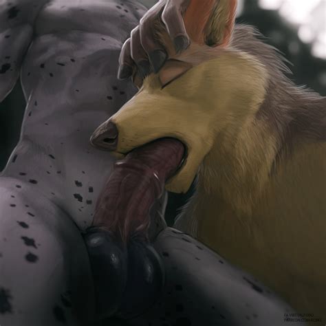 Rule 34 11 2021 Absurd Res Animal Genitalia Animal Penis Anthro