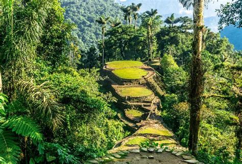 Randonnée Au Parc Tayrona à La Ciudad Perdida En Colombie