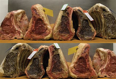 Dry Aging Beef How To Dry Age Beef Steak At Home Ask John The Butcher