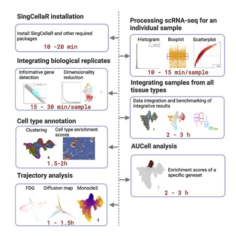 Processing Single Cell Rna Seq Datasets Using Singcellar Abstract