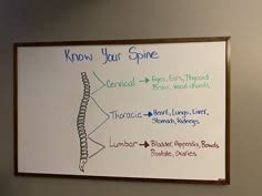 240 Chiropractic White Boards Ideas In 2025 Chiropractic Chiropractic Quotes Chiropractic Care