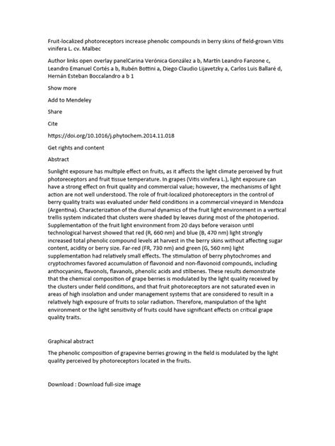 Ambiente Luminico Pdf Phenolic Content In Wine Wine