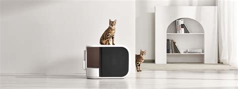 宠小到大 Guangzhou Pawgether Pet Product Technology Co Ltd