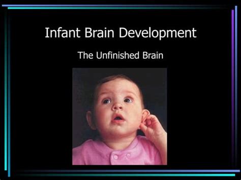 Education 1 Brain Development Ppt