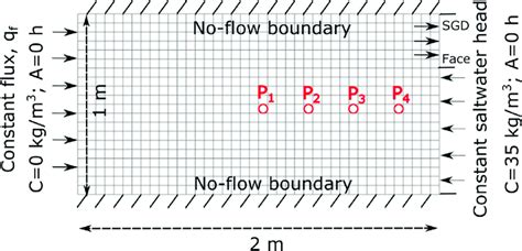 Sketch Of The Henry Problem Showing Flow Transport And Direct Age Download Scientific Diagram