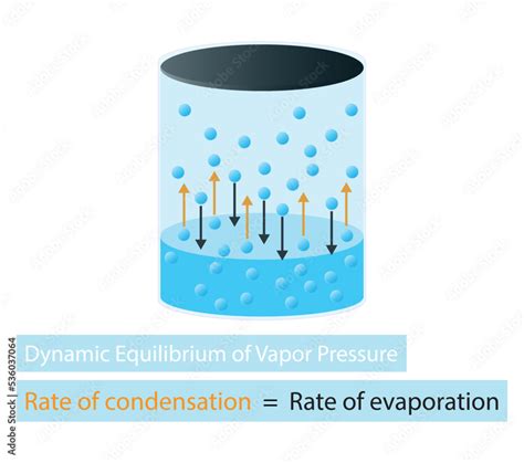 What Is Vapor Pressure Dynamic Equilibrium At Wayne Loeffler Blog