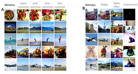 A This Figure Compares Ridge Regression Functional Alignment Over