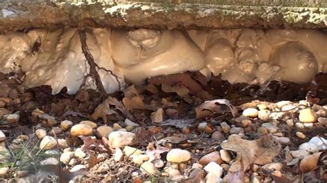 Void Filling With Polyurethane Concrete Hero