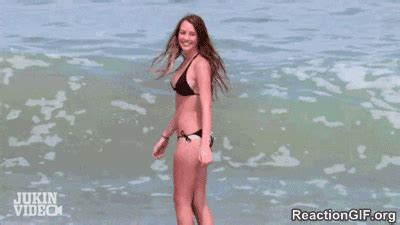   Babe Bikini Fail Fall Funny Summer Wave  Viral