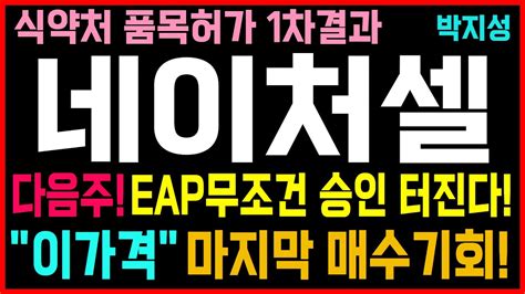 네이처셀 주가 🚨긴급속보🚨다음주 기대감 미친듯이 폭발 이 재료 터지고 3연상 5만원 찍는다 이 가격 다시는 안올 최저점 무조건 사라🔥네이처셀 전망 조인트스템
