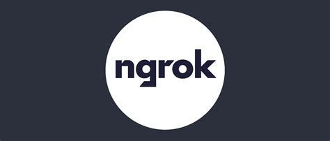 leveraging ngrok for ethical hacking in kali linux a comprehensive