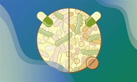 Exploring Microbial Life In Context Mirage News