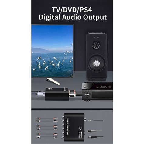 Jual Digital Surround Decoder To Active Speaker Converter DTS Dolby AC Shopee Indonesia