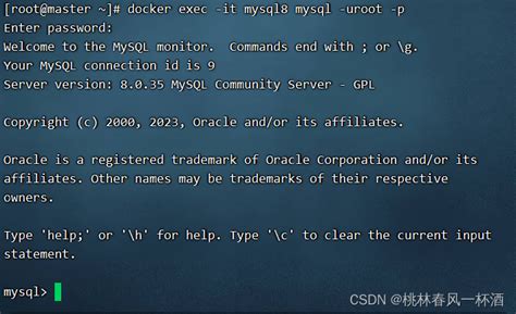 docker中部署mysql docker拉取mysql8 0 csdn博客