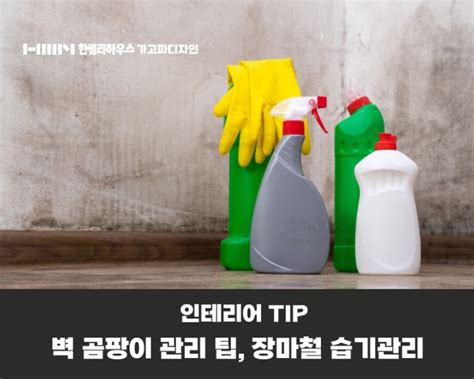 벽 곰팡이 관리 팁 장마철 습기관리 Tip 네이버 블로그