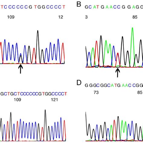 Tp53 Gene Mutations In Breast Cancer A Codon 72 Polymorphism