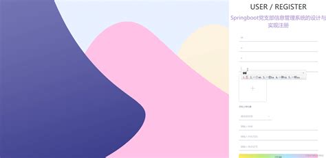 Djangospringboot党支部信息管理系统的设计与实现程序开题报告 Csdn博客