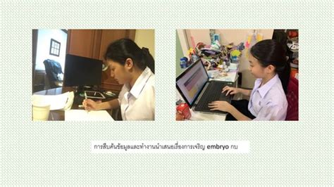 Frog Embryo Development Ppt