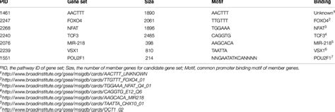 Description Of Candidate Gene Sets Download Table
