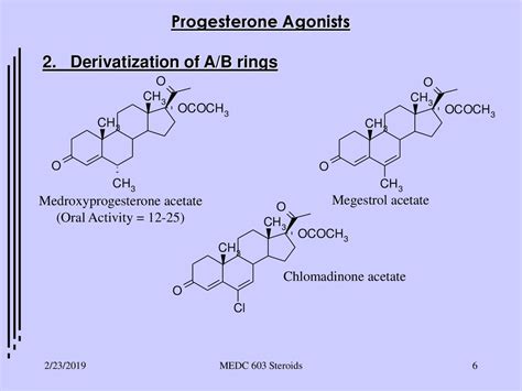 Progestins Overall Organization Of The Topic Ppt Download