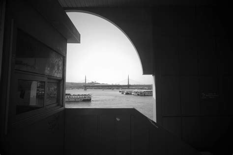 Marina Hedman Zoophilia Sex Scene What Secrets Lie Within Indo