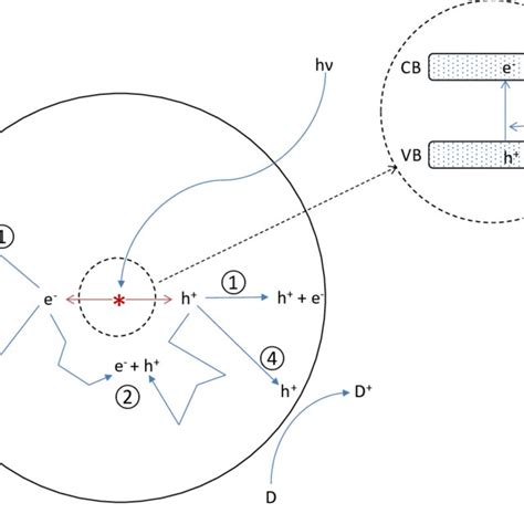 6 The Process Of Electronic Excitation In A Semiconductor Particle Download Scientific