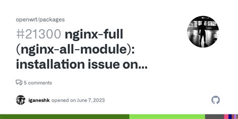 Nginx Full Nginx All Module Installation Issue On Snapshot Issue Openwrt Packages