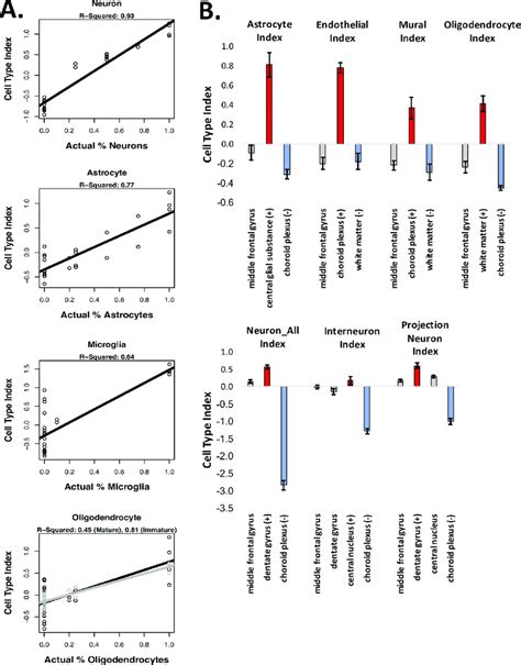 Validation Of Relative Cell Content Predictions A Using A Microarray