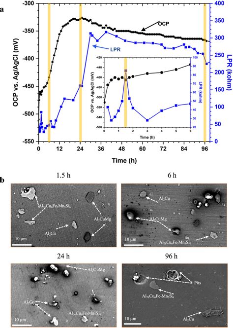 General Electrochemical And Morphological Analysis With Time A Ocp Download Scientific