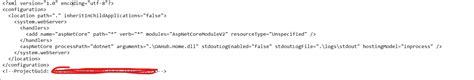 Get Error When Deploy A NET Core Web App To IIS Server By Azure Pipelines Stack Overflow