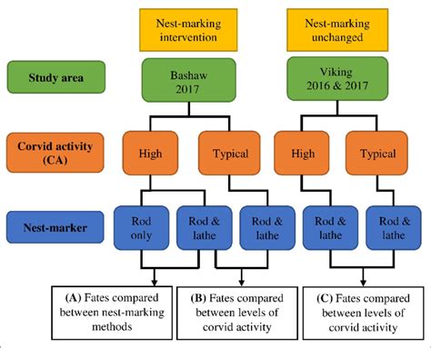 A Description Of The Study Design Showing Which Combinations Of Study Download Scientific