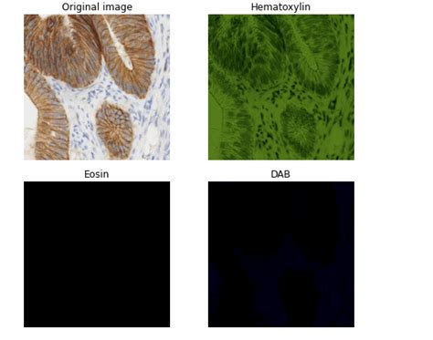 issue with rgb2hed and hed2rgb · issue 5494 · scikit image scikit